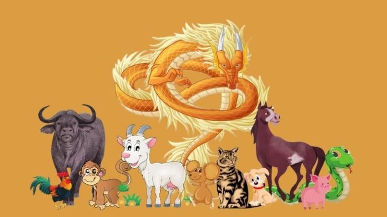 12 con giáp là gì? Nguồn gốc thứ tự và ý nghĩa 12 con giáp