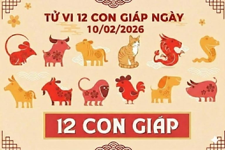 Tử vi 12 con giáp ngày 10/02/2026 - Tử Vi 12 Con Giáp
