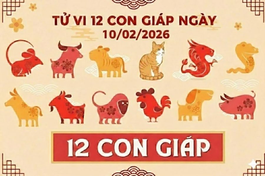 Tử vi 12 con giáp ngày 10/02/2026 - Tử Vi 12 Con Giáp