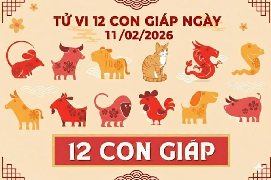 Tử vi 12 con giáp ngày 11/02/2026 - Tử Vi 12 Con Giáp